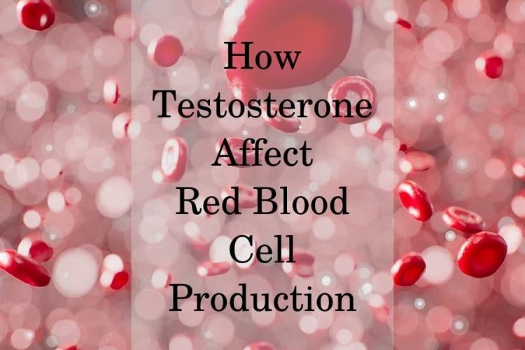 Testosterone Increases Red Blood Cell Count - How to Reduce It | HFS Clinic